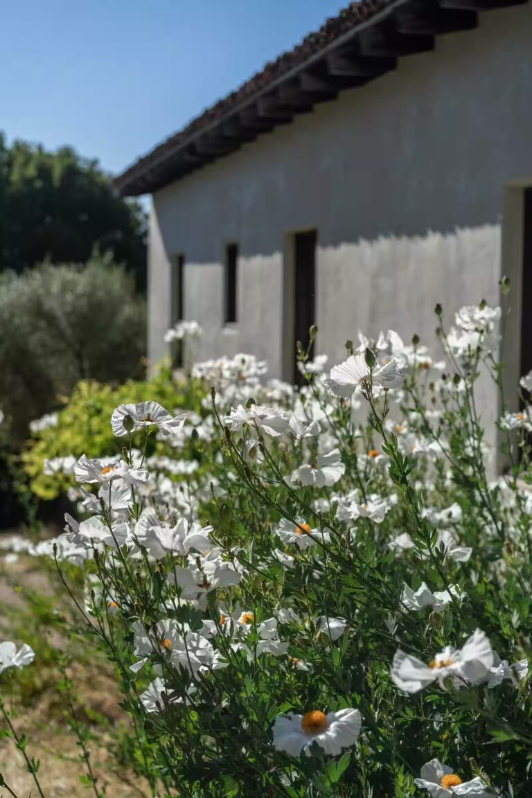 Crafting Memory: Spanish Architecture San Mateo County | FGA